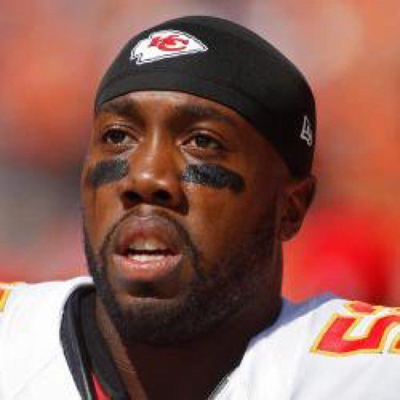 Miami Dolphins sign LB James Michael Johnson